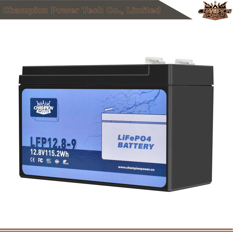 LFP12.8-9 12V9Ah LiFePO4 Battery - Buy Solar Power battery, LiFePO4 ...